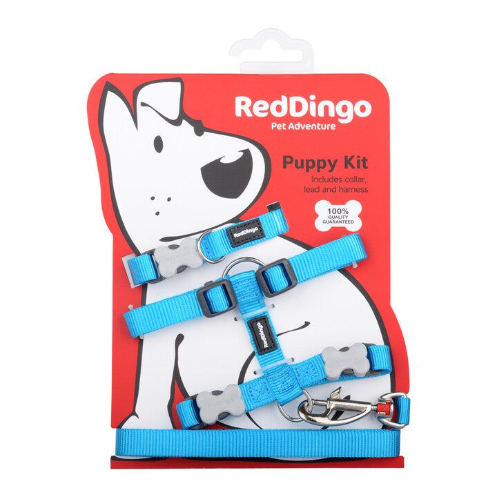 Red Dingo Puppy Pack - Classic Turquoise – Meelo Pets